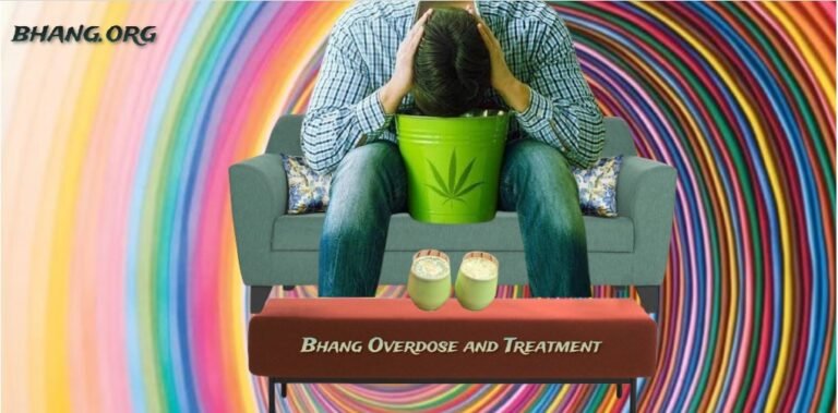 Bhang Overdose and Treatment: How Many Hours Does Bhang Last? - Bhang